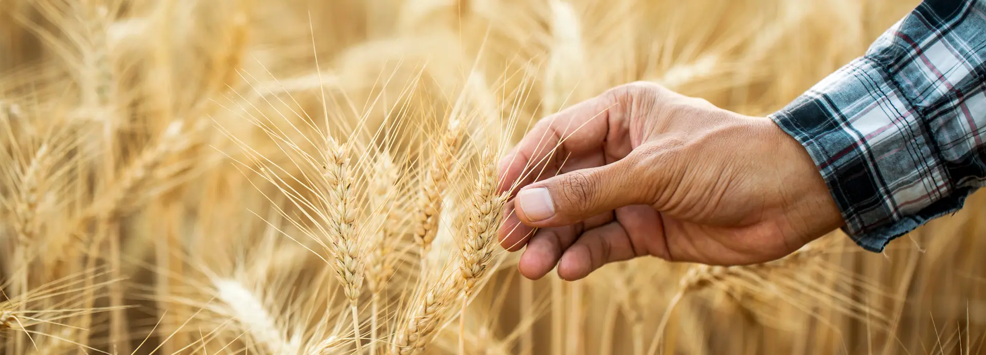 About Us - Simplot Credit Union