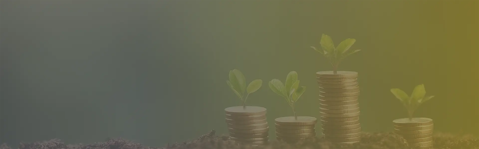 Savings - Simplot Credit Union